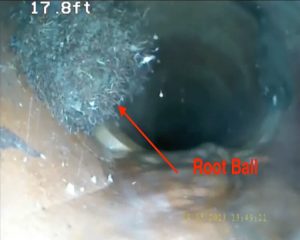Sewer Lateral Camera Inspection in Newtown Square, PA
